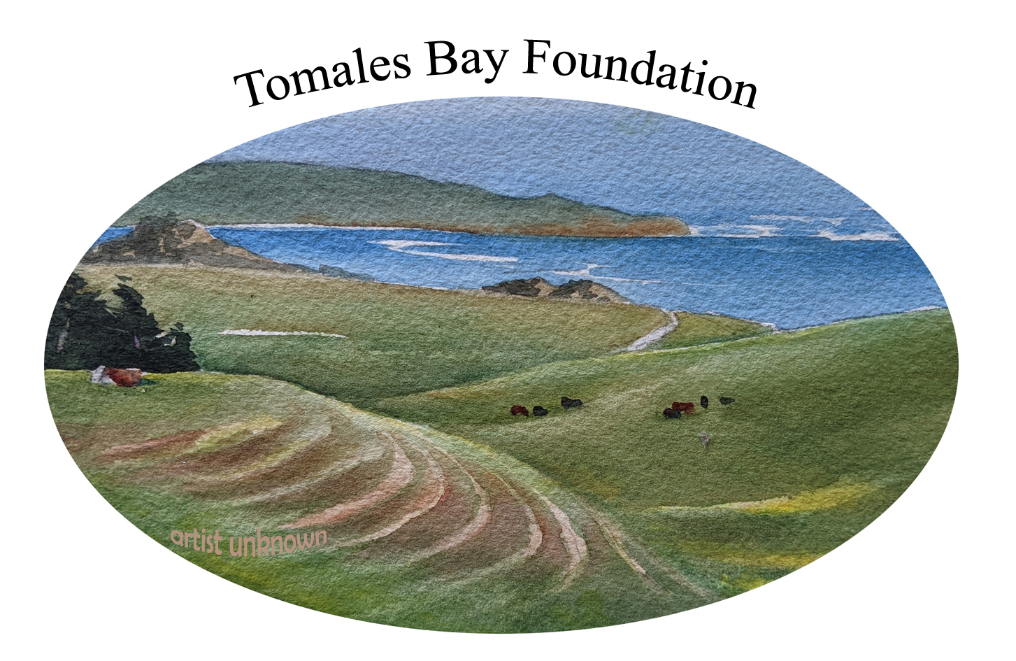 Student Research Grants Announcement 2026 – Tomales Bay Foundation